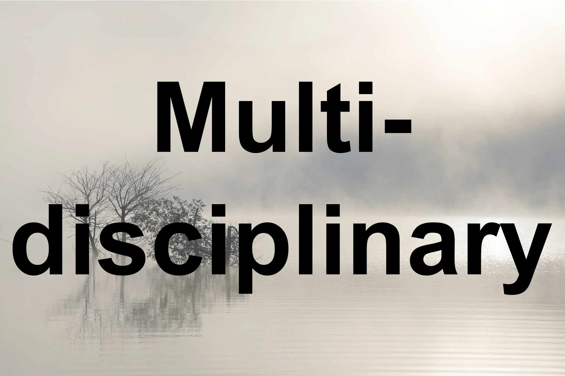 Multi-disciplinary problem | CRUCIAL